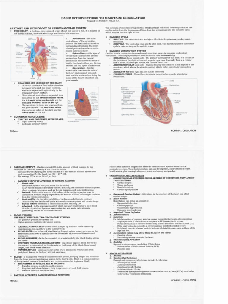 Basic Interventions To Maintain Circulation PDF | PDF