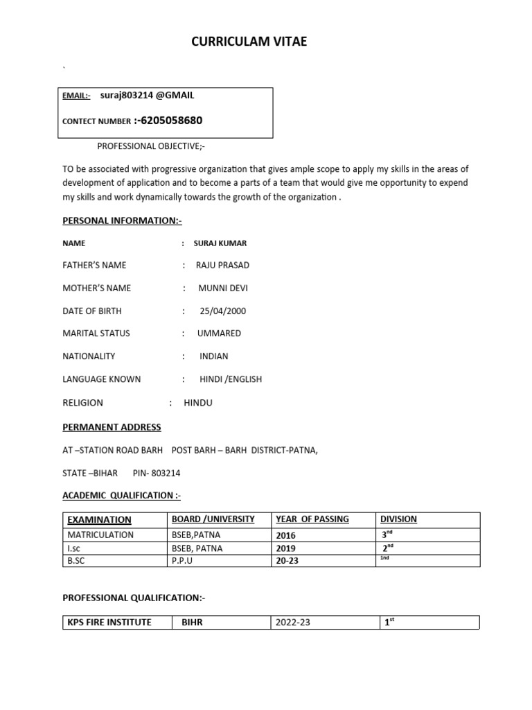 Suraj CV | PDF