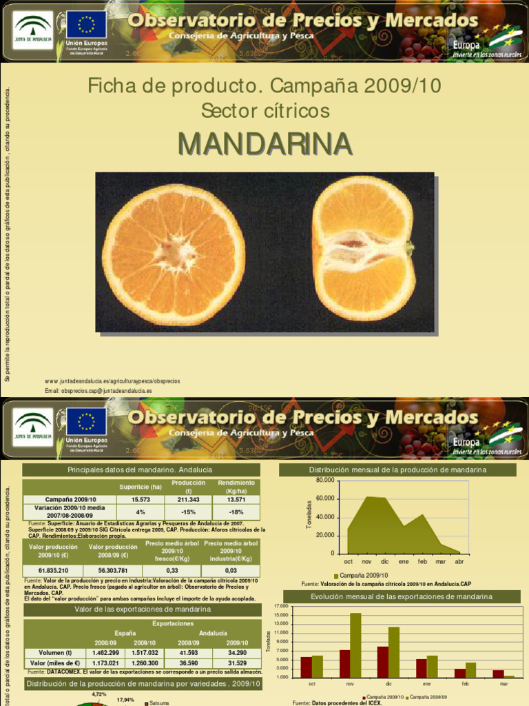 2009-10 - Ficha Prod Mandarina | PDF | Fruta tropical | Frutas comestibles