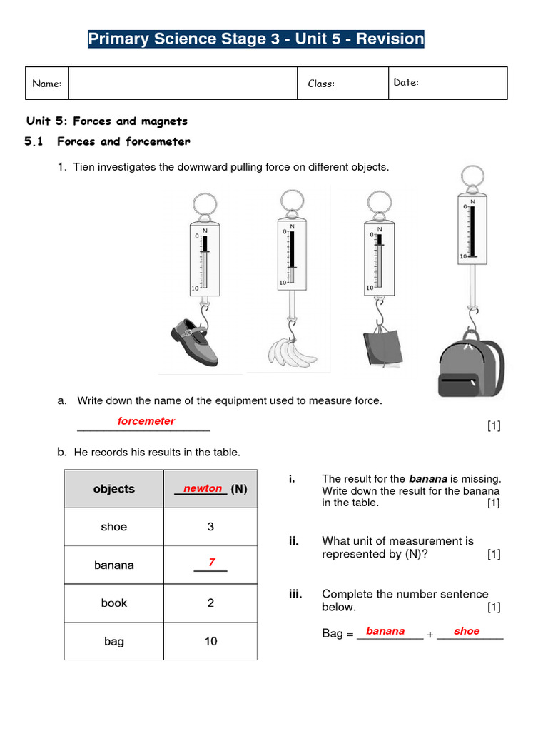 Primary-Science-Stage-3-Unit-5-Revision - Answer Key | Download Free ...