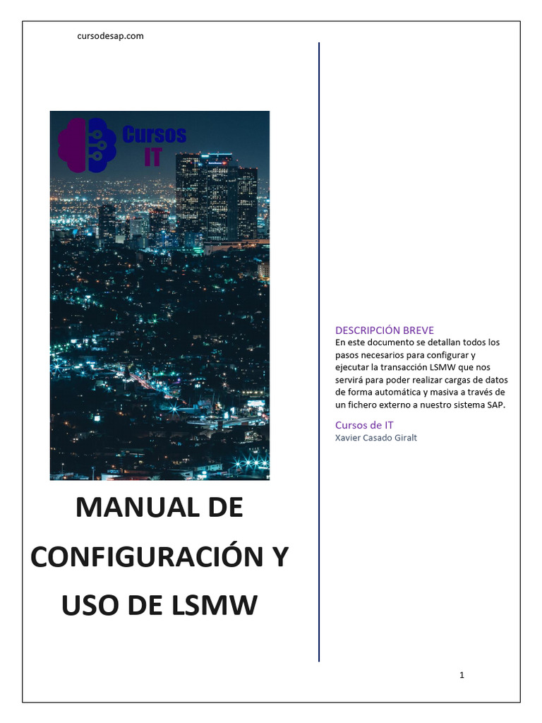 Manual de Configuración y Uso de LSMW | PDF | Archivo de computadora | Software utilitario