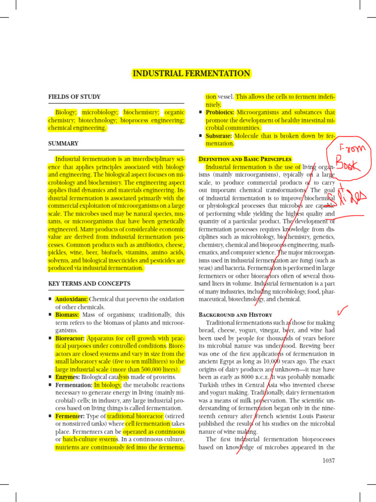 Industrial Fermentation Paper | PDF | Fermentation | Biofuel