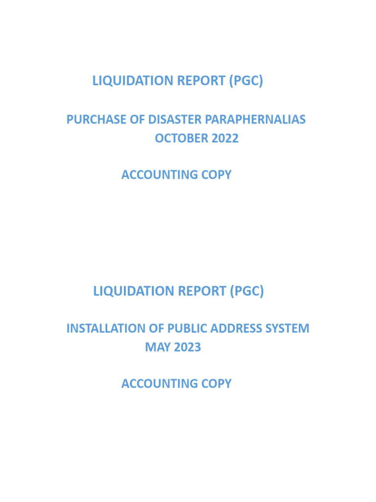 Liquidation Report | PDF