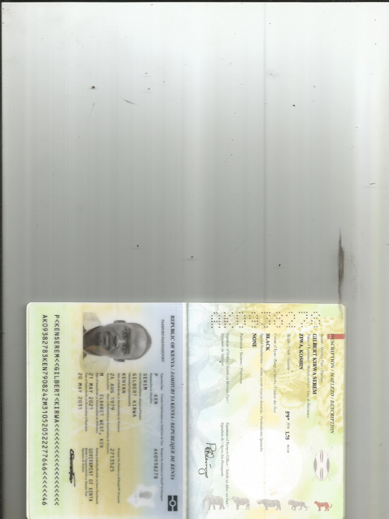 PASSPORT | PDF