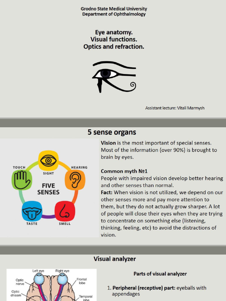 Eye Anatomy. Visual Functions. Optics and Refraction | PDF | Cornea ...