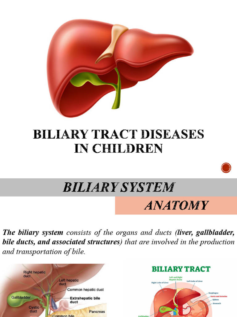 Biliary Tract Diseases in Children 2021 | PDF | Liver | Bile