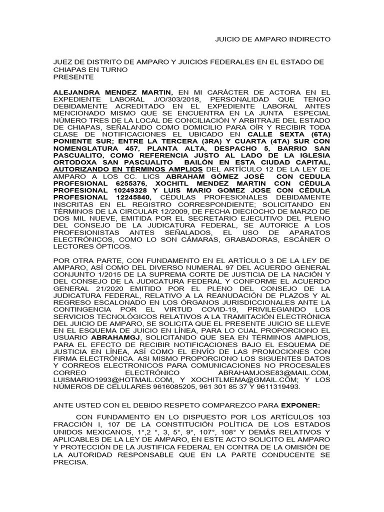 Amparo Ppor Omision de Laudo Alejandra Martin | PDF | Justicia | Crimen ...