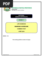 Life Sciences p1 Gr11 Memo Nov2025 - English | PDF | Digestion | Stomach