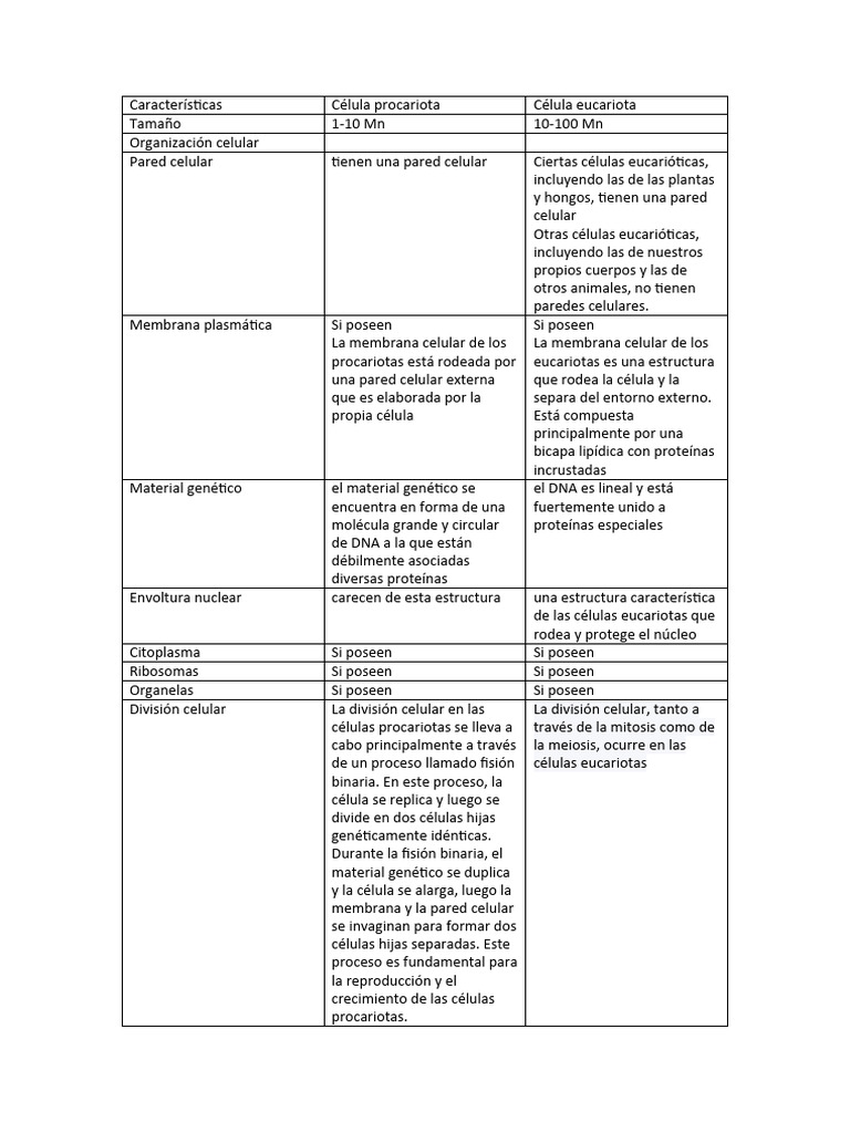Cuadro de Celulas | PDF | Biología Celular) | Metabolismo