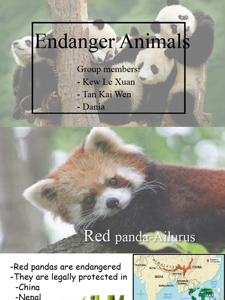 Endanger Animals | PDF