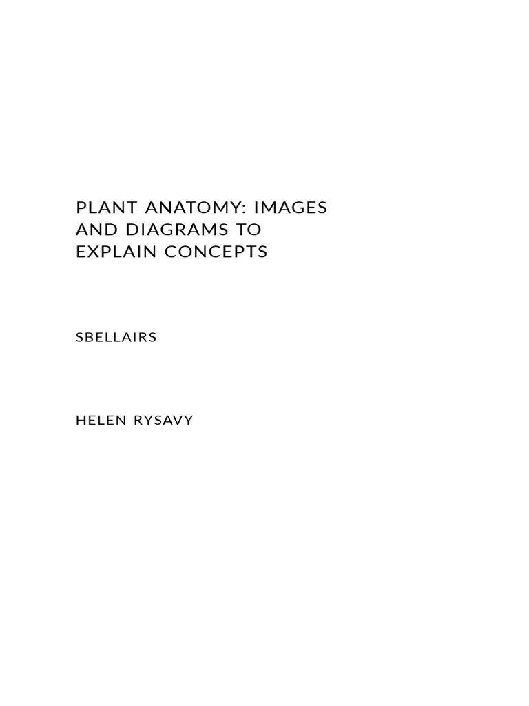 Plant Anatomy: Diagrams and Concepts | PDF | Endoplasmic Reticulum ...