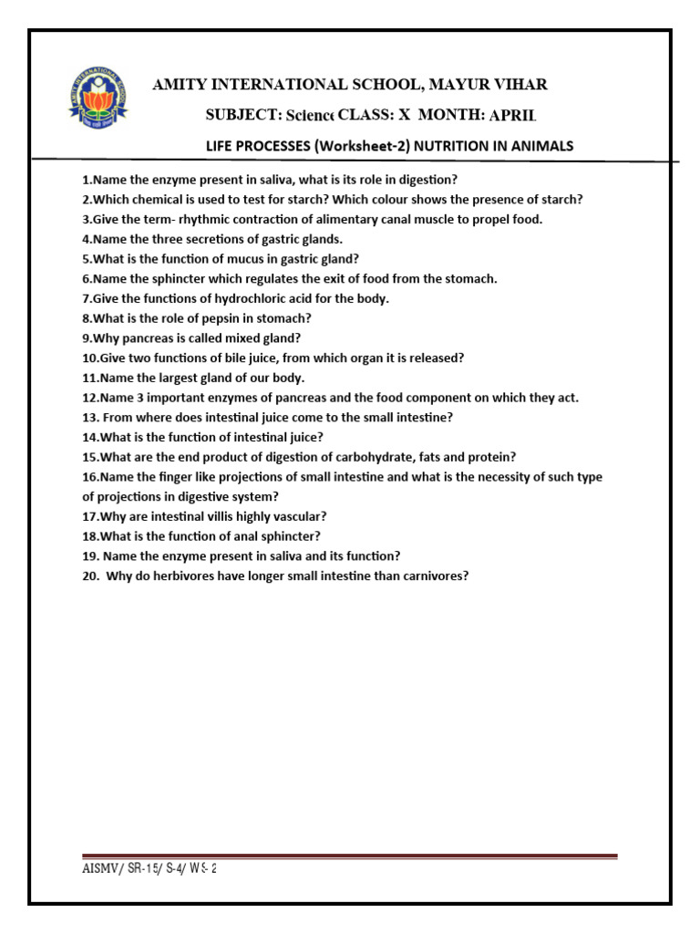 Nutrition Inanimals - Worksheet2 | PDF | Wellness