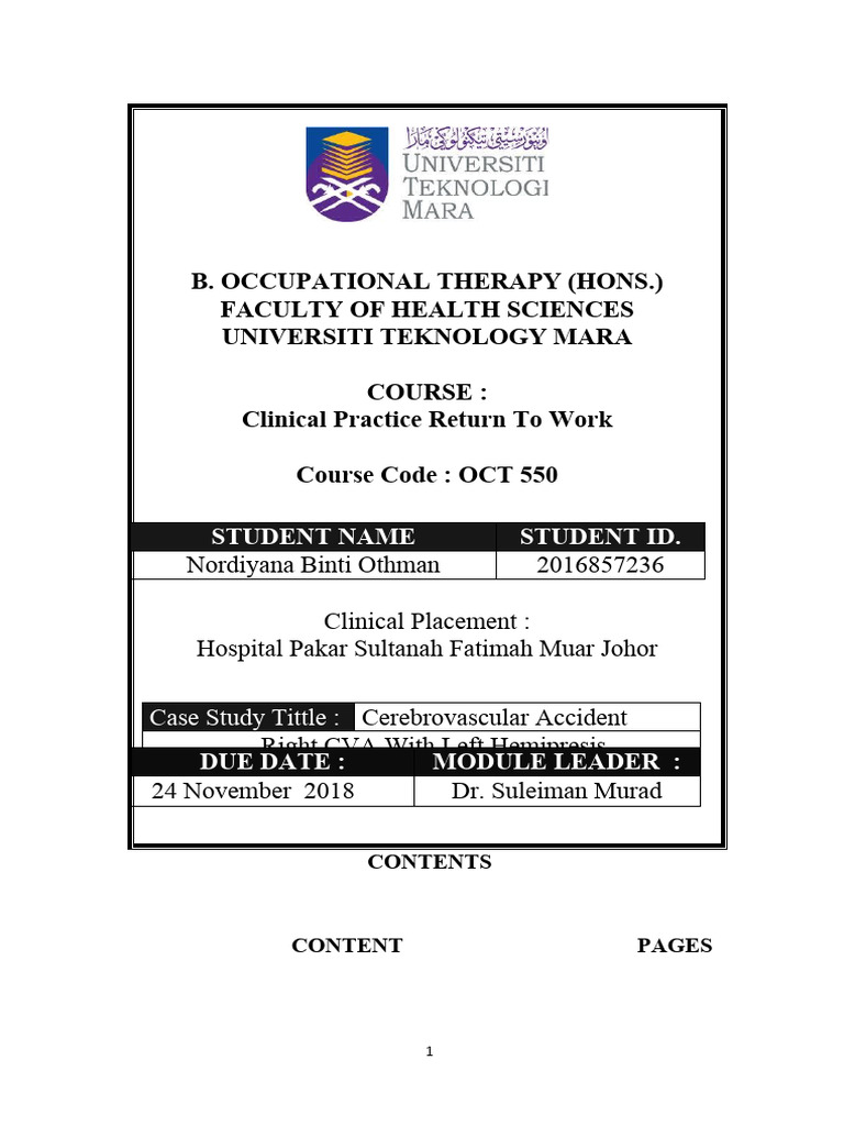 Occupational Therapy Case Study | PDF | Stroke | Ischemia