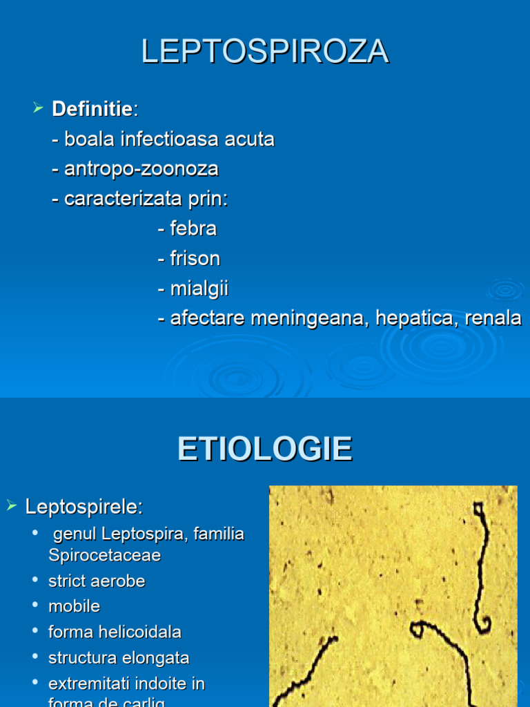 Leptospiroza 98706 | PDF