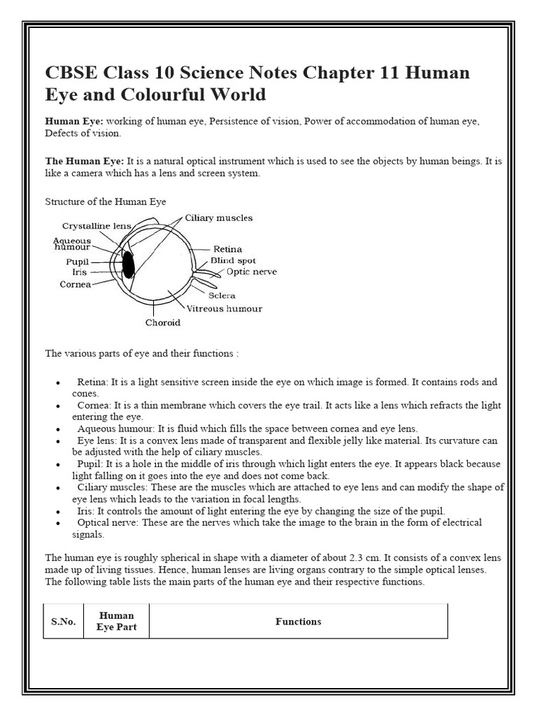 CBSE Class 10 Science: Human Eye | PDF | Eye | Human Eye