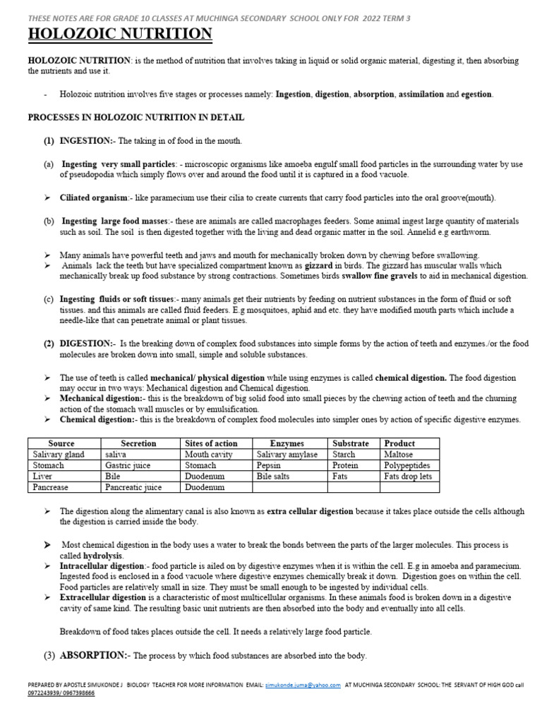 2022 Grade 10 Notes Term 3 Pdf Digestion Cellular Respiration