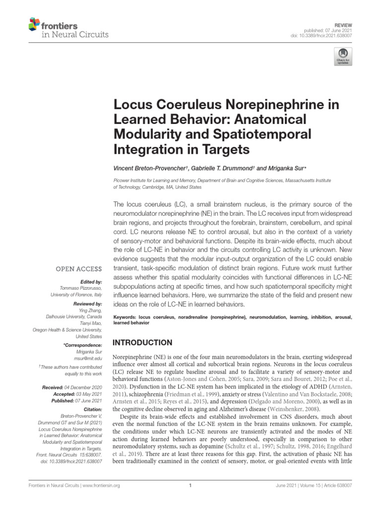 Fncir 15 638007 | PDF | Brain | Cerebral Cortex