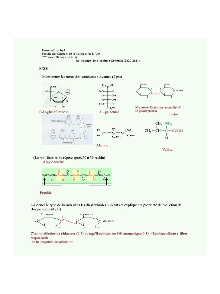 Examen5+Solution L2 Biochimie Structurale | PDF
