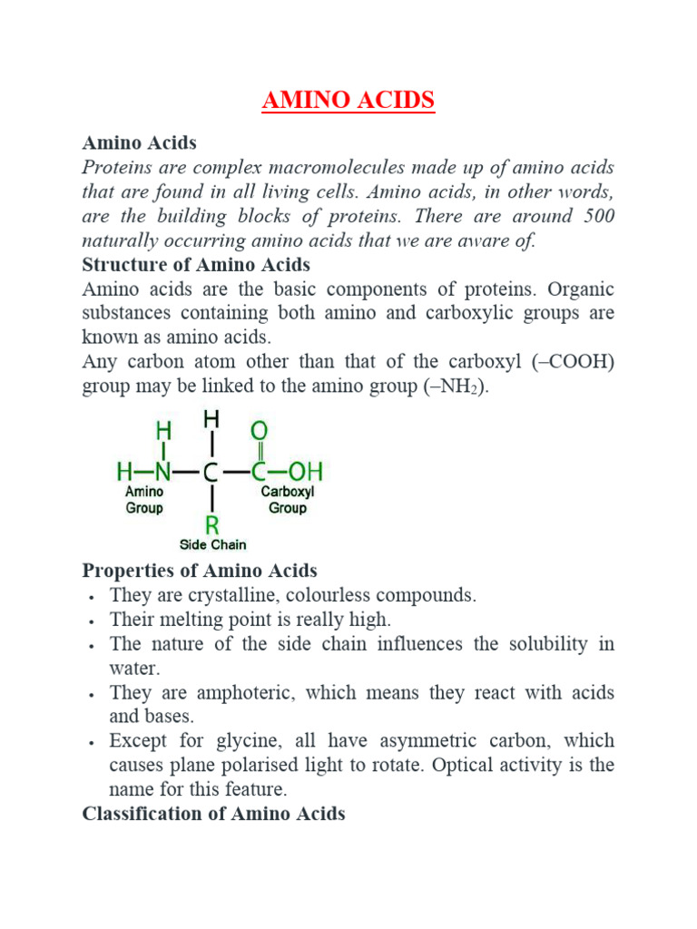 Amino Acids Notes | PDF | Amino Acid | Chemical Compounds