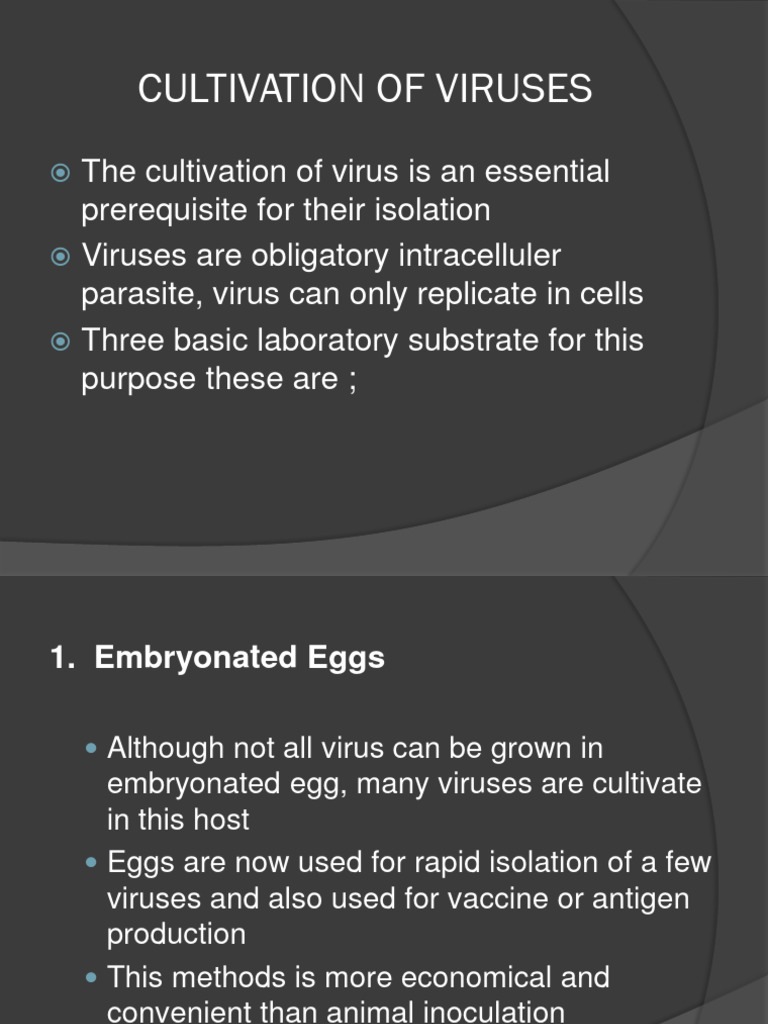 Cultivation of Viruses | PDF | Cell Culture | Virus