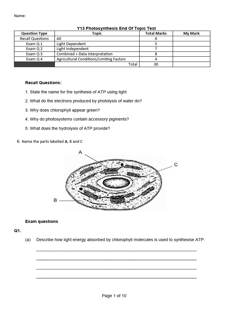 Photosynthesis End of Topic Test | PDF | Photosynthesis | Nicotinamide ...