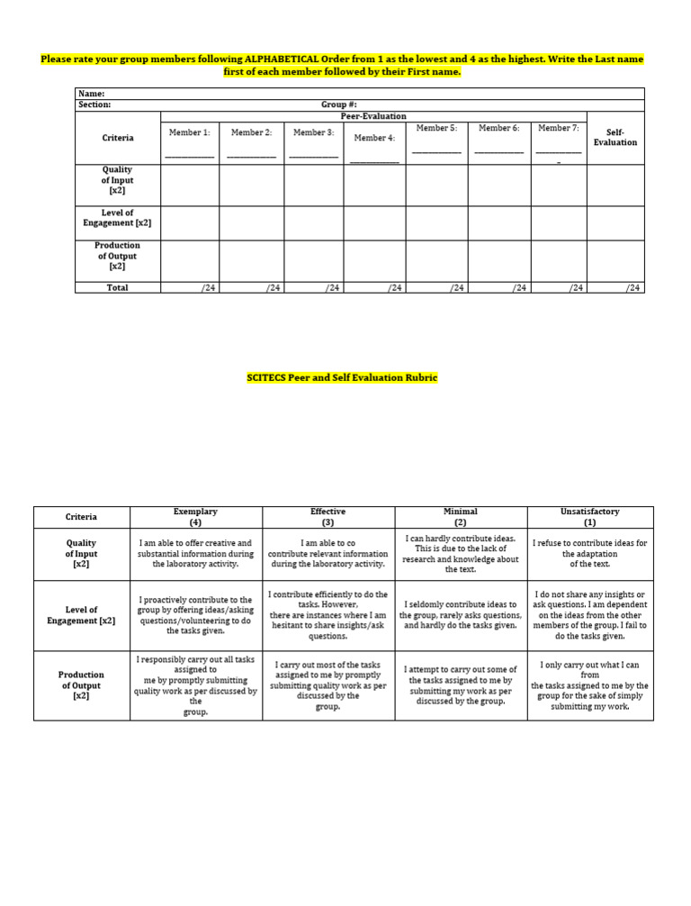 SCITECS Peer and Self Evaluation | PDF | Cognition
