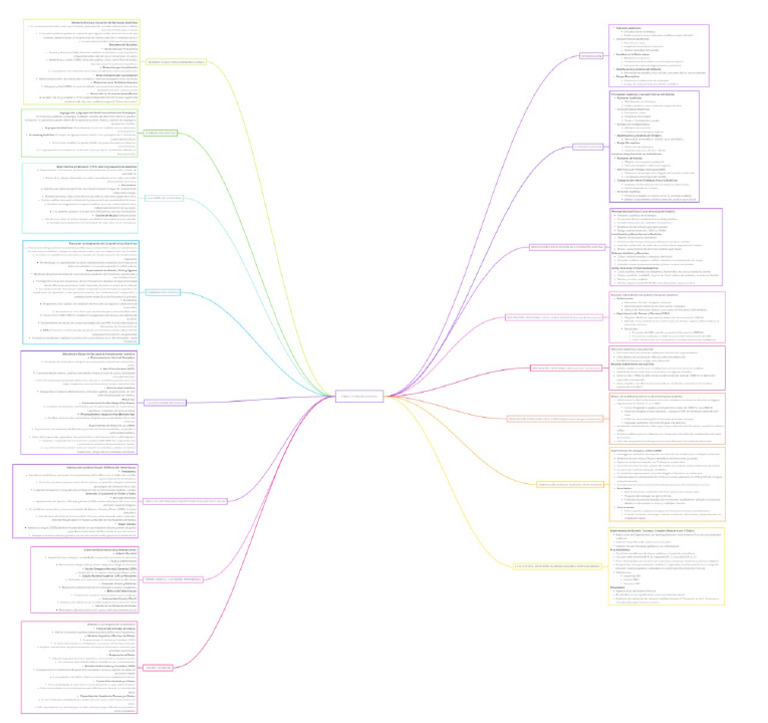 Mapa Mental - Tema 3 | PDF