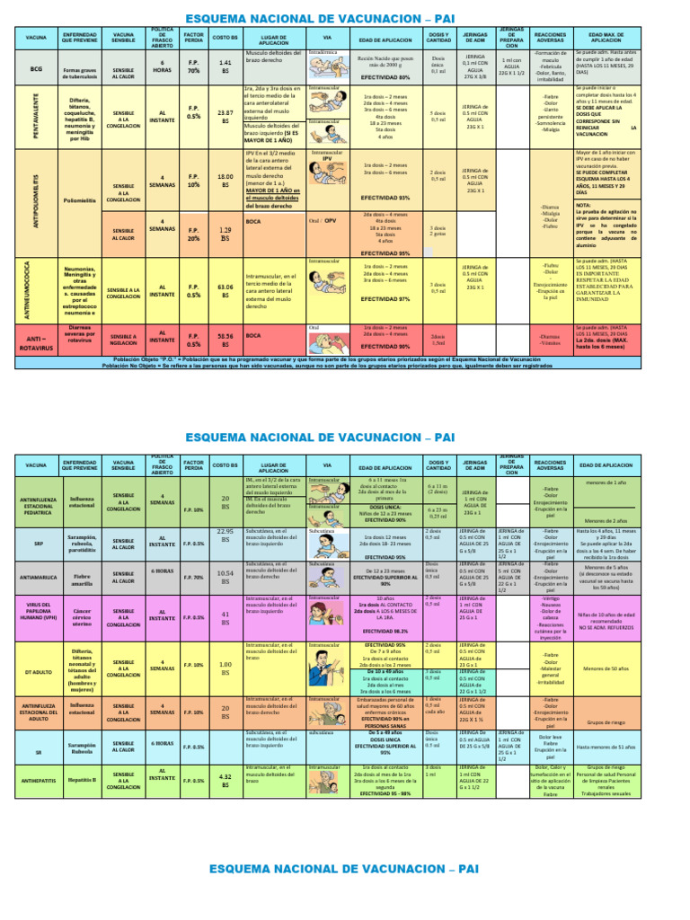 Pai Esquema de Vacunación | PDF | Inyección (medicina) | Vacunas