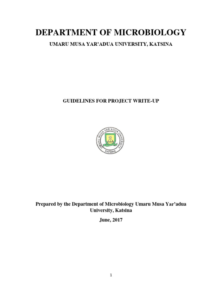 Guideline On Project Write Up | PDF | Citation | Thesis