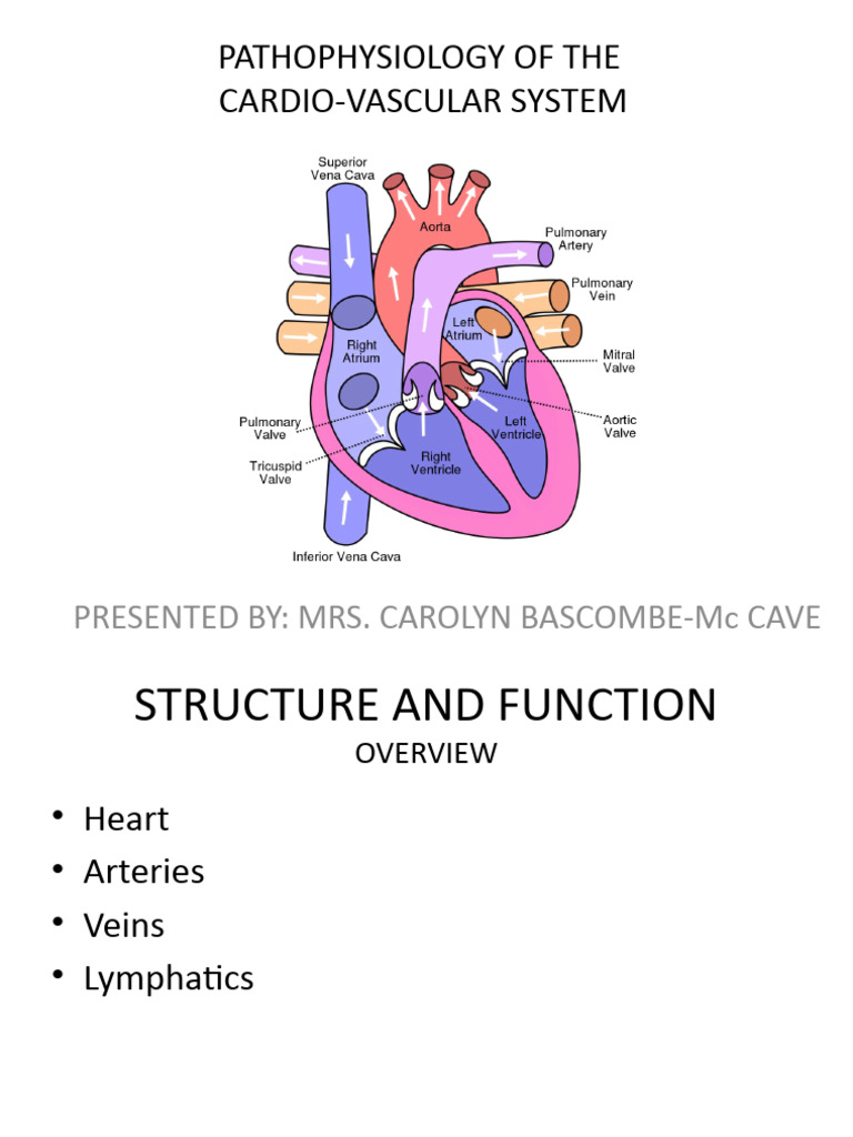 Pathophysiology of The Cvs | PDF | Myocardial Infarction | Heart Valve