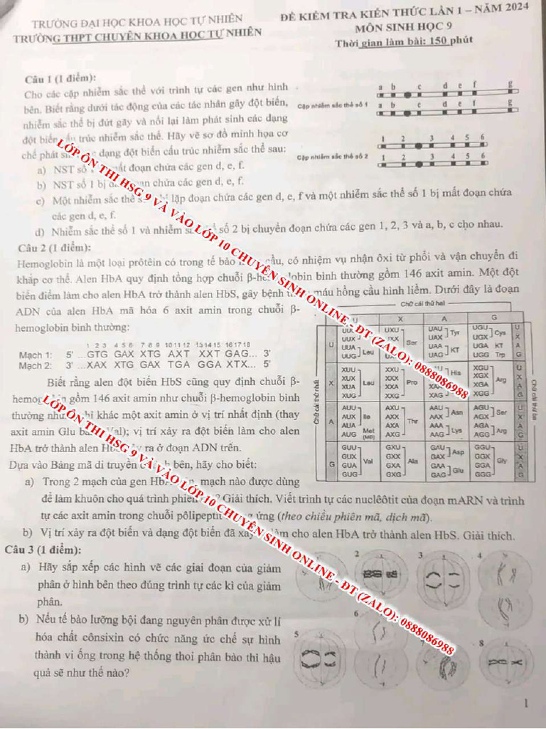 Thi TH - KHTN - 2024 | PDF