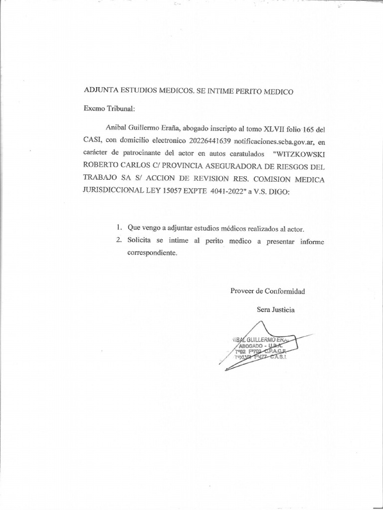 Witz Adjunta Estudio | PDF