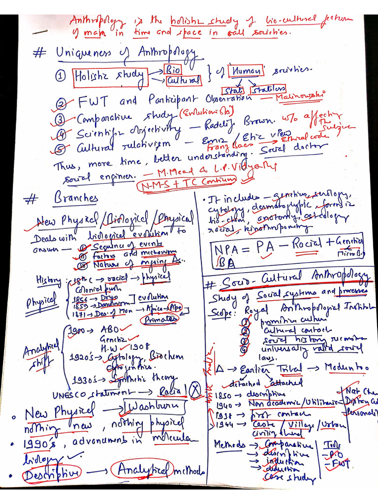 3 Anthro Branches Comparison | PDF