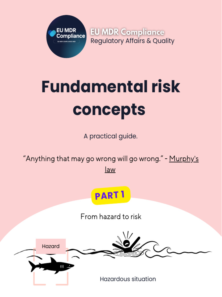 Fundamental Risk Concepts | PDF | Hazards | Risk