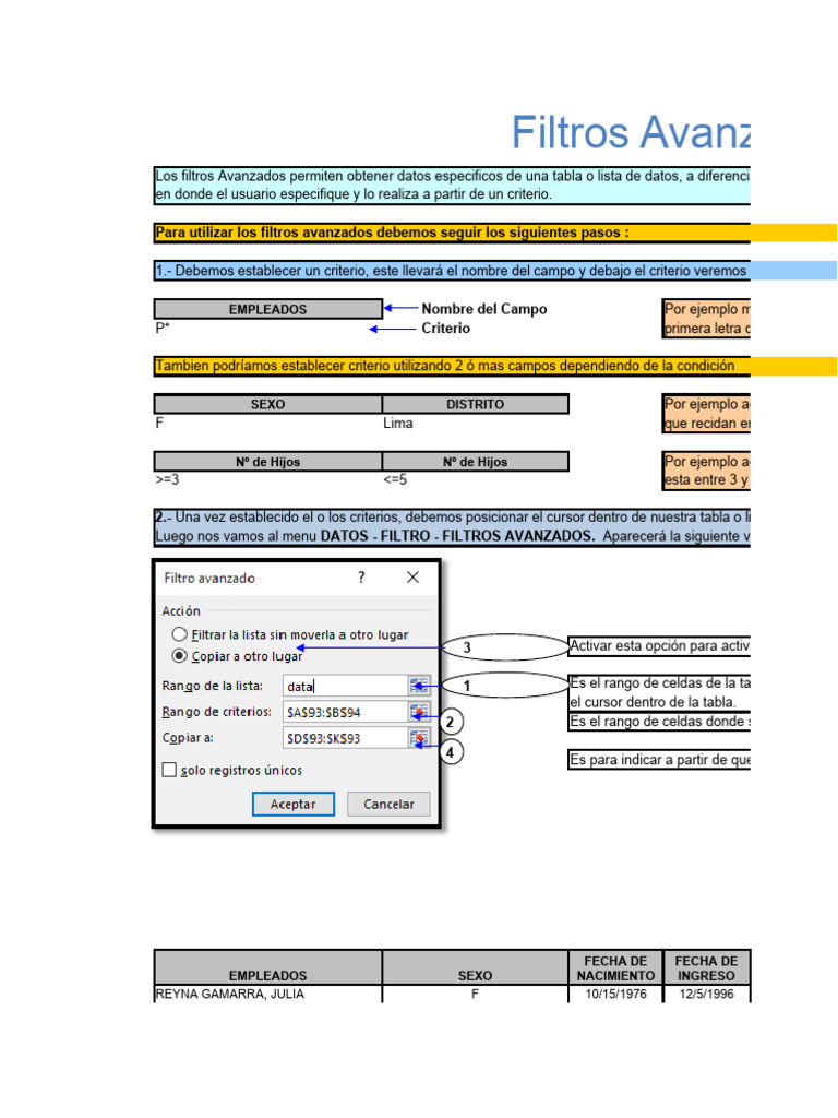 Filtros Avanzados | PDF