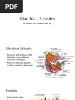 Celda Parotídea y Glandula Parotida RESUMEN | PDF ...
