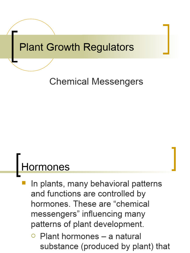 Plant Growth Regulators Overview | PDF | Plant Hormone | Auxin