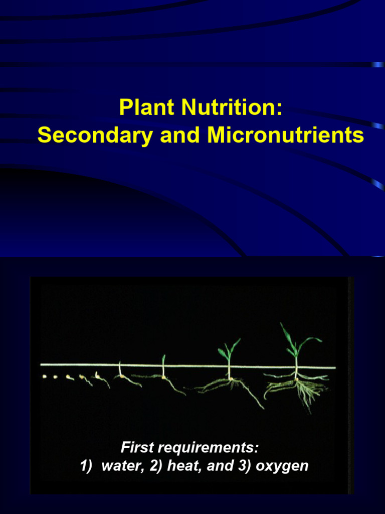 Nutrient Secondary and Micro | PDF | Plant Nutrition | Nutrients