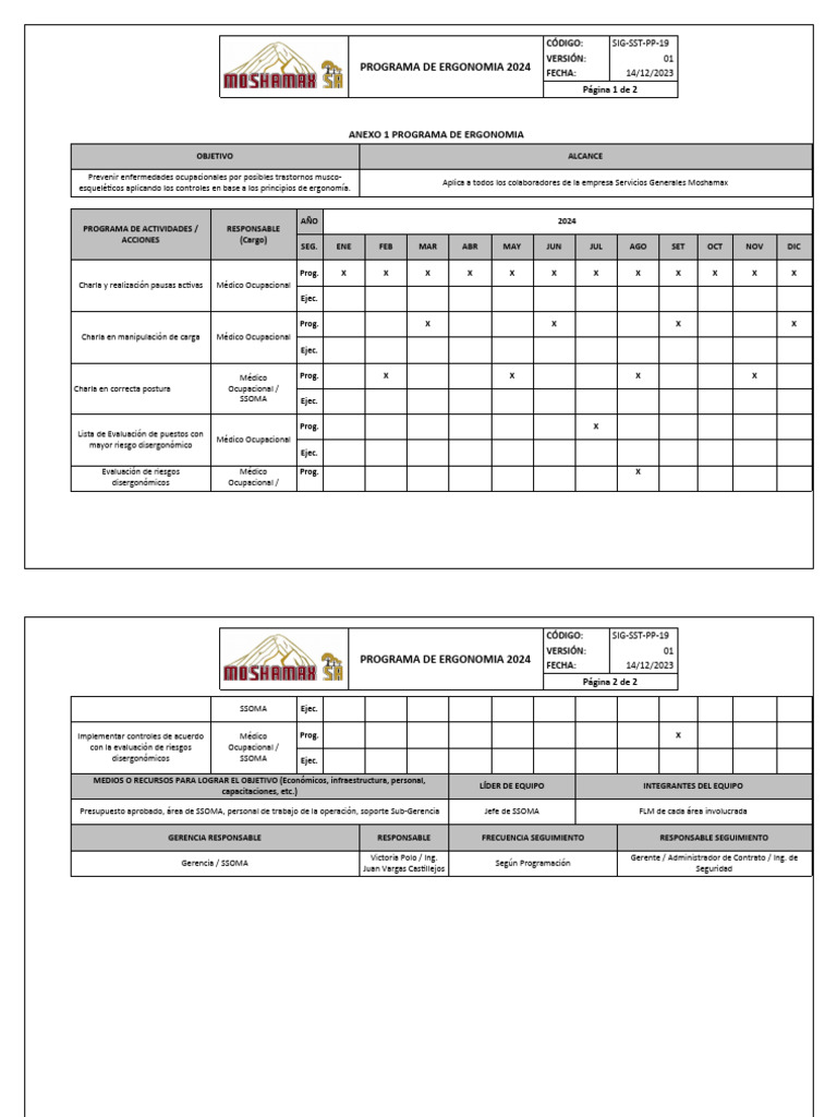 Programa De Ergonomia 2024 Pdf Factores Humanos Y Ergonomía Business