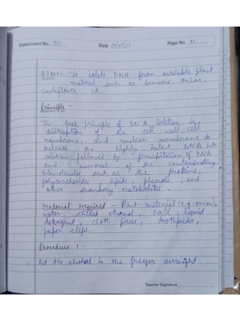 True Scanner May 07 2024 | PDF