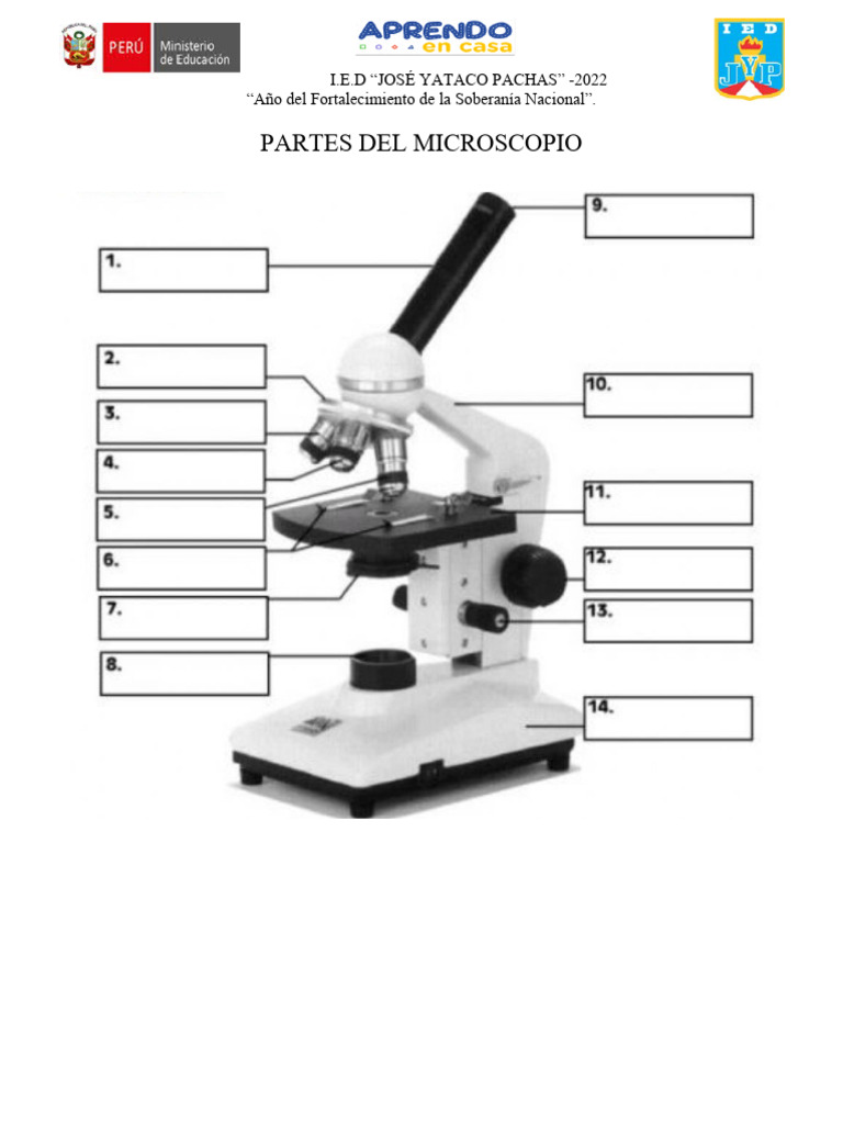 Partes Del Microscopio | PDF