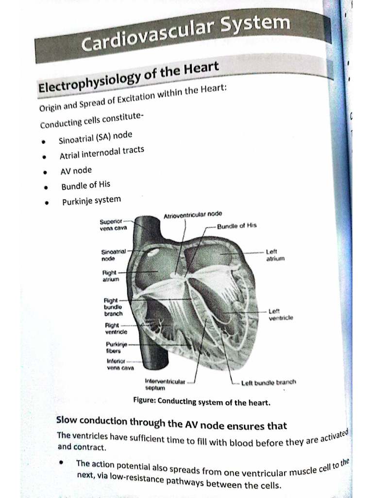 Physio Cardio Pdf
