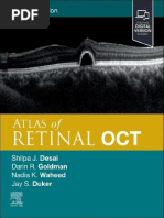 Optical Coherence Tomography (OCT) Handbook | PDF | Visual System ...