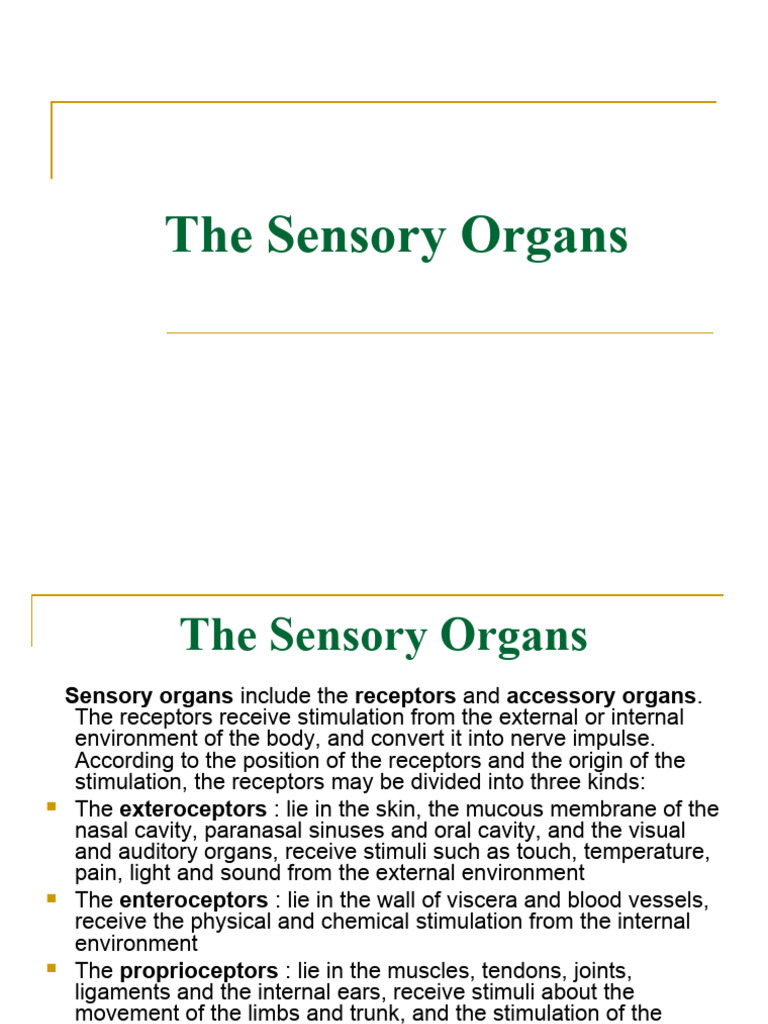 Visual Organ | PDF | Human Eye | Cornea