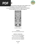 Clasificación de Lancefield | PDF | Estreptococo | Especialidades Medicas