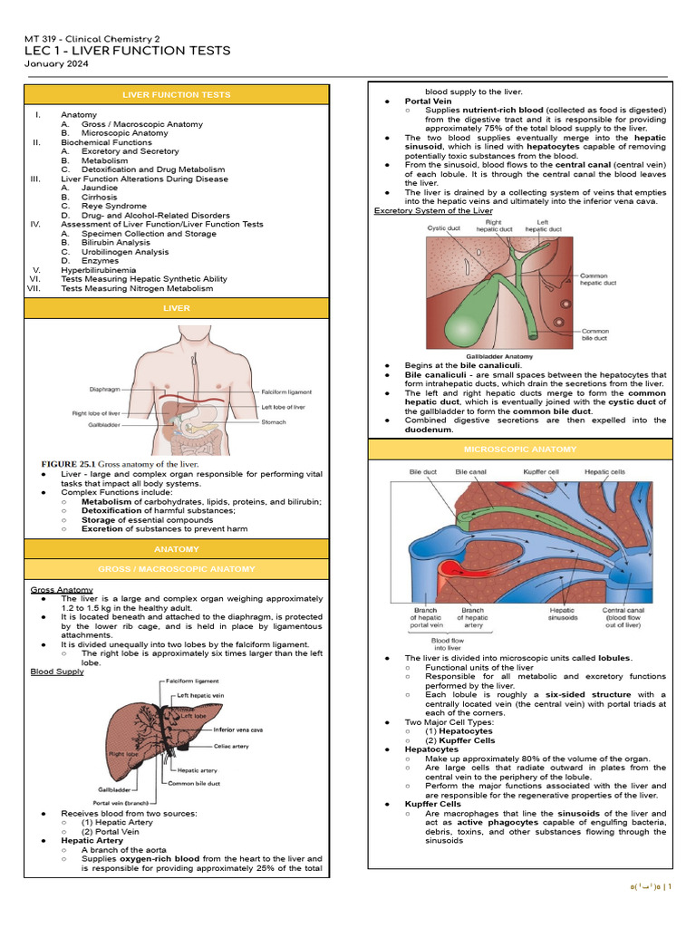 Clinical Chemistry - Liver Function Test | PDF | Liver | Medical ...