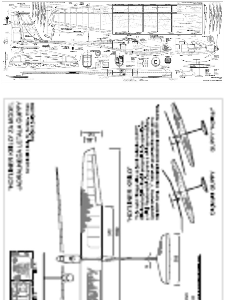 Guppy Plan Vector | PDF