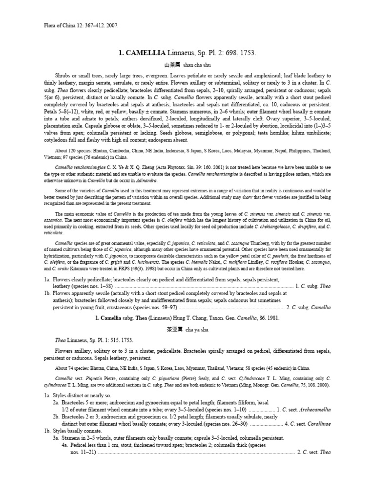 CAMELLIA Linnaeus | PDF | Leaf | Plant Morphology