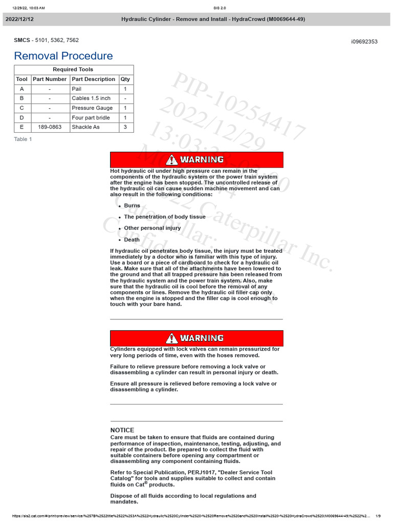 R&I Cilindro Hydracrowd | PDF | Elevator | Crane (Machine)
