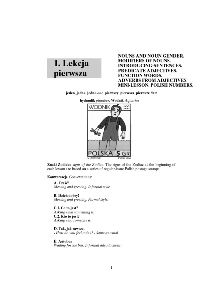 Polish Grammar Lessons | PDF